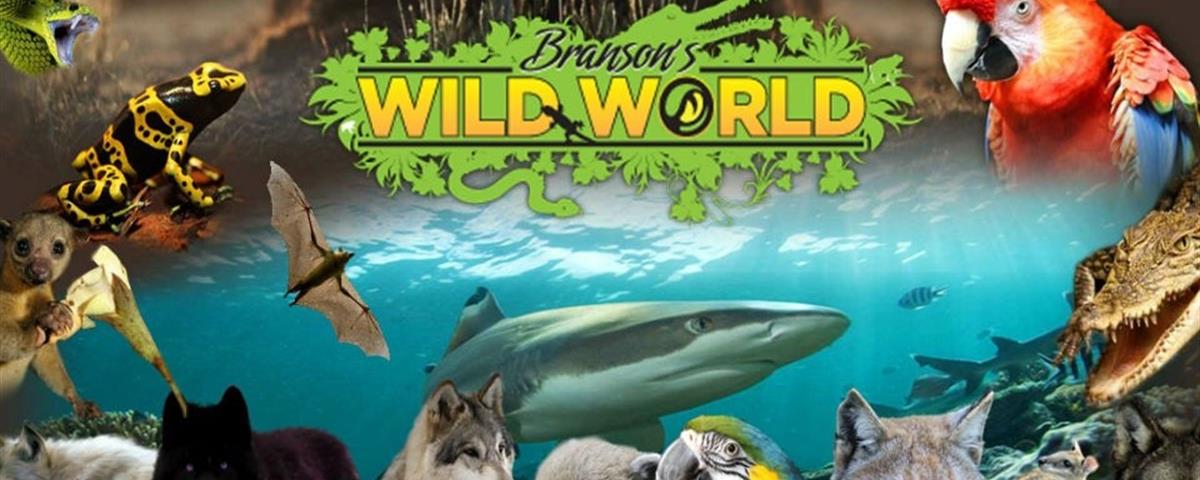 Branson's Wild World - Discover Branson